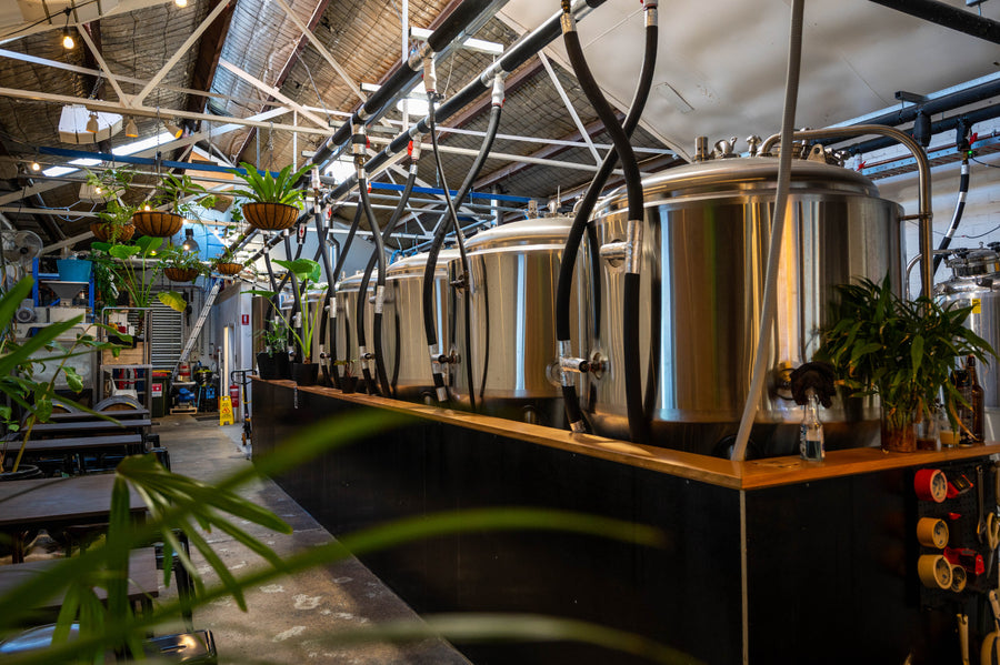 Bracket Brewing | Craft Brewery – BracketBrewing